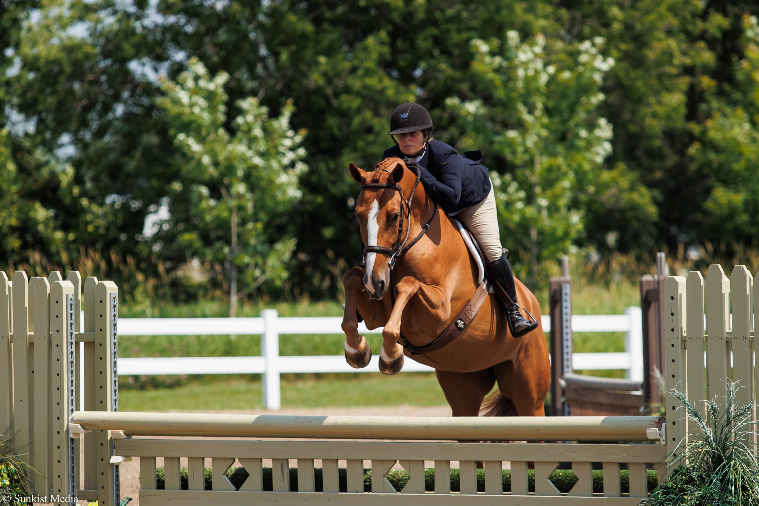 Entraînement de Cavaliers et Chevaux - Centre Hippique Anémo